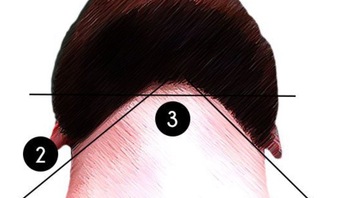 Stimmt die Form - Kinnbart - Bartfrisuren Das Bart Forum für Bartträger ...